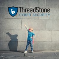 ThreadStone Cyber Security | Home